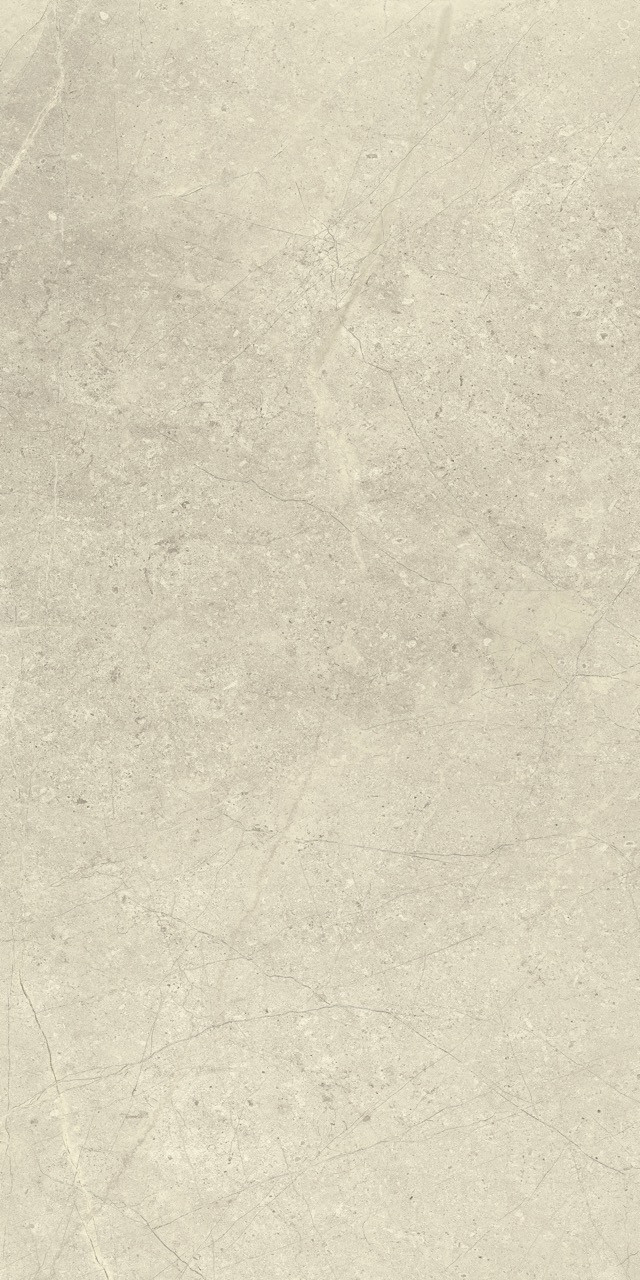 Anthology White Worn 60x120 Stone Tile | Tile Shed NZ