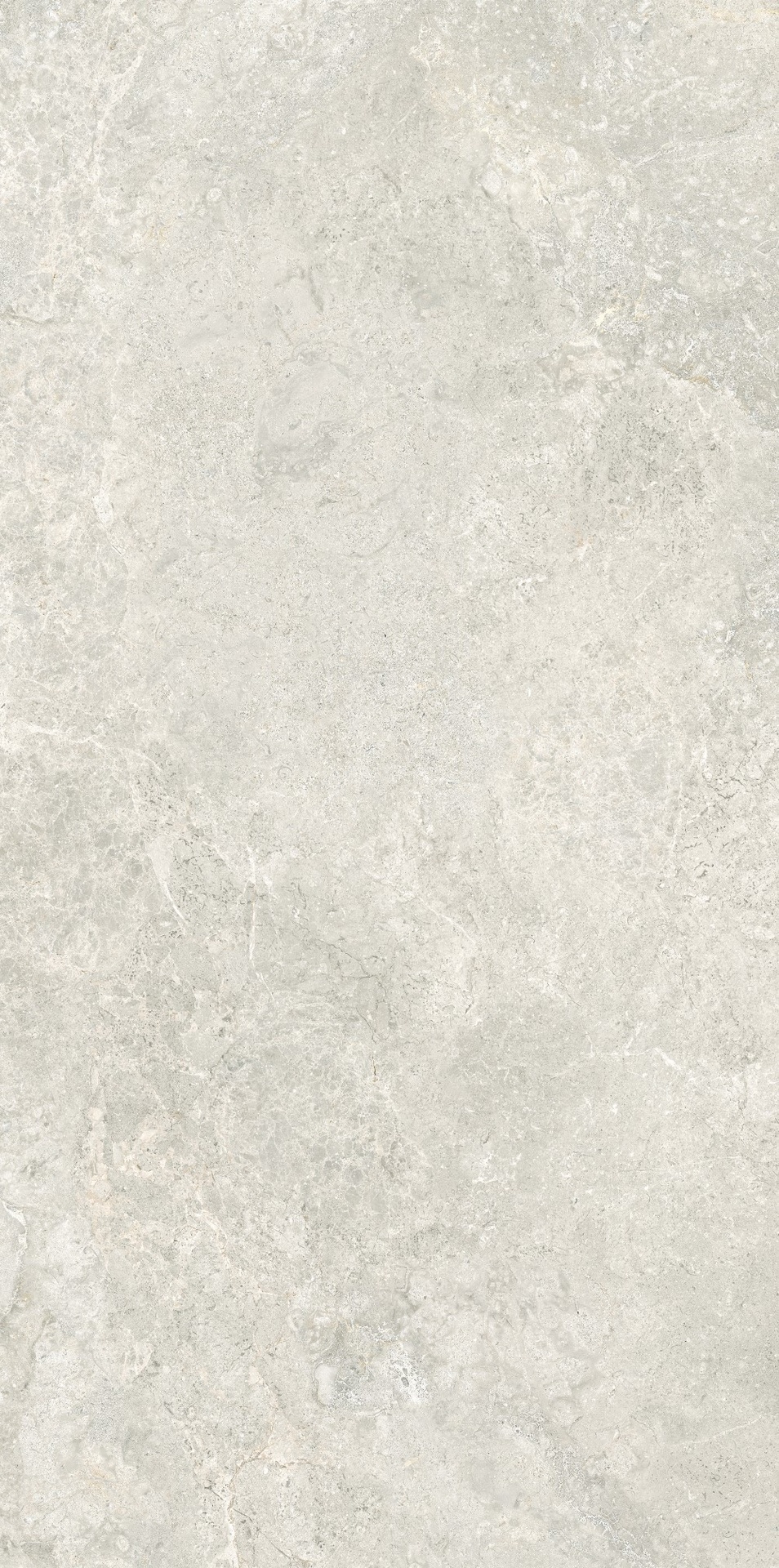 Arctic Tundra Ivory 60x120 (600x1200MM) | Tile Shed