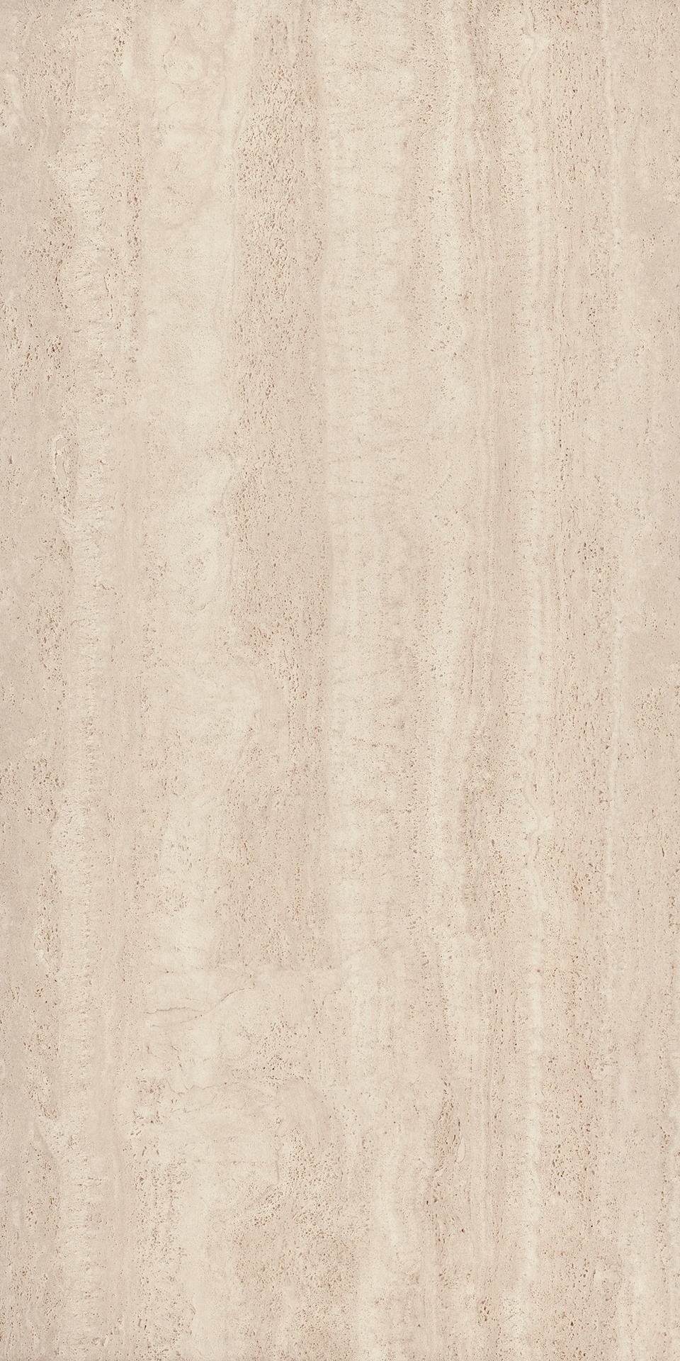 Aeterna Avorio Matt Porcelain Tile 600x1200 - Tile Shed | Hastings, Ha